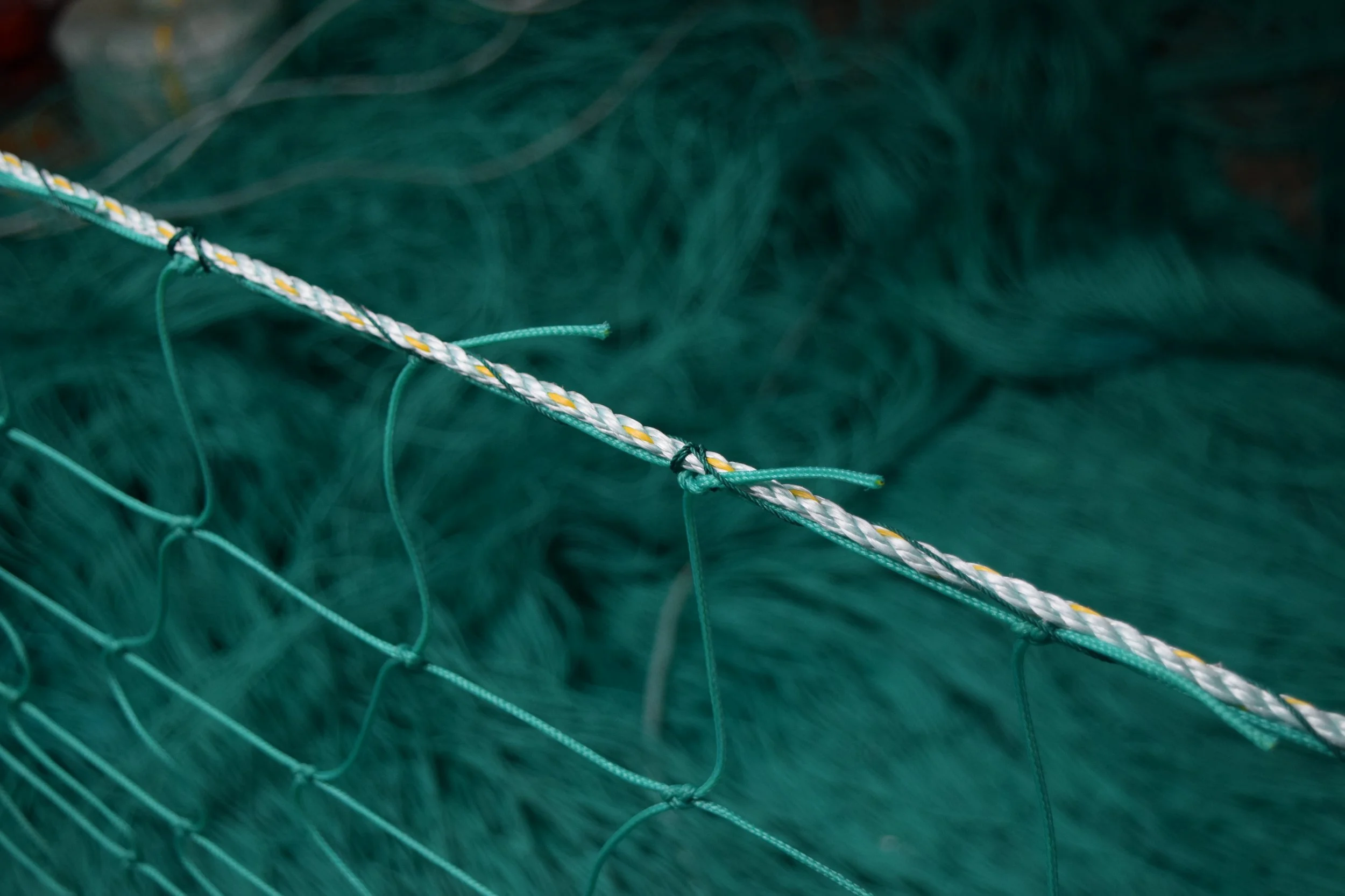 Filet Sport Gaspésien