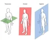 Training in All 3 Planes of Motion — WildWood Athletic Club
