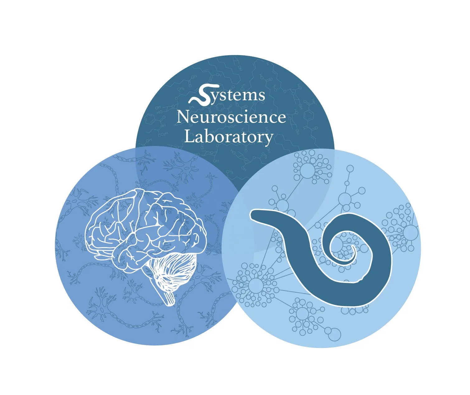 Systems Neuroscience Laboratory — kyliembreen