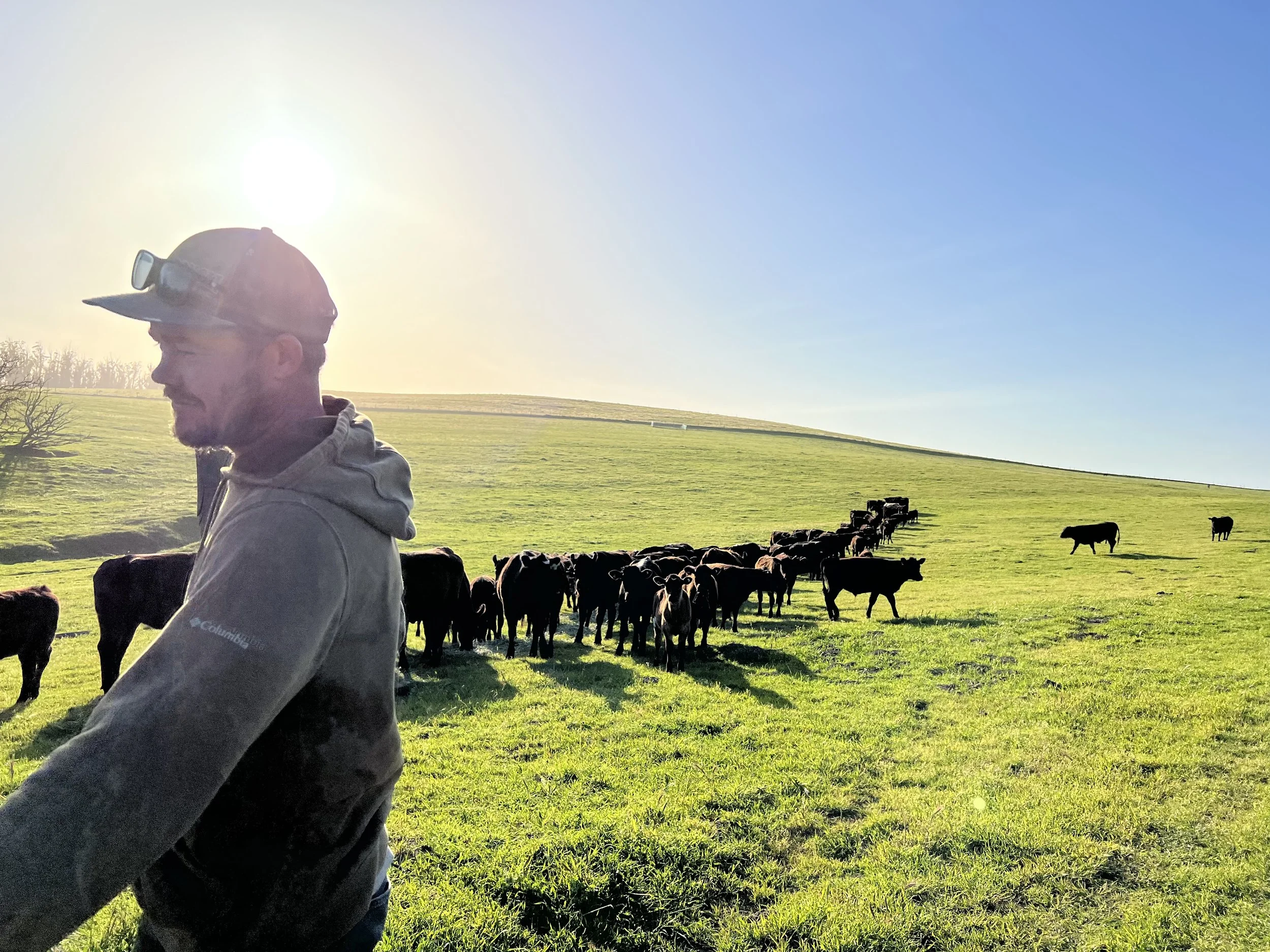Triple C Ranch Meats | High Quality Beef | Pasture Raised | Dry-Aged ...