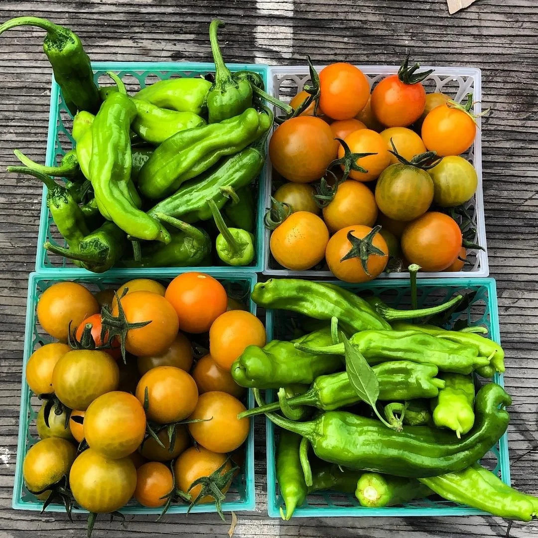 About | Multi-Generational Farm | Petaluma, CA — Triple C Ranch Meats