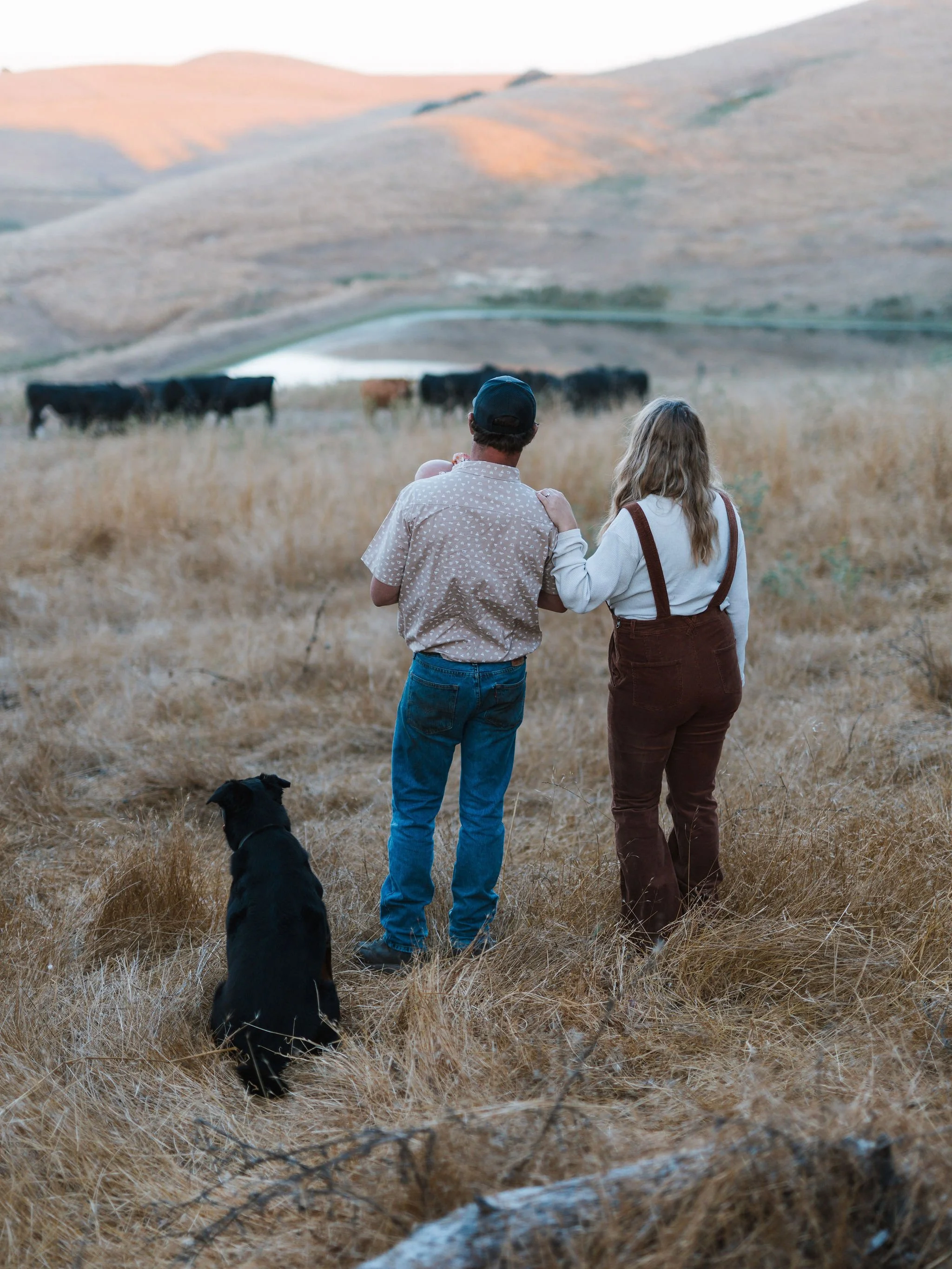 FAQs — Triple C Ranch Meats