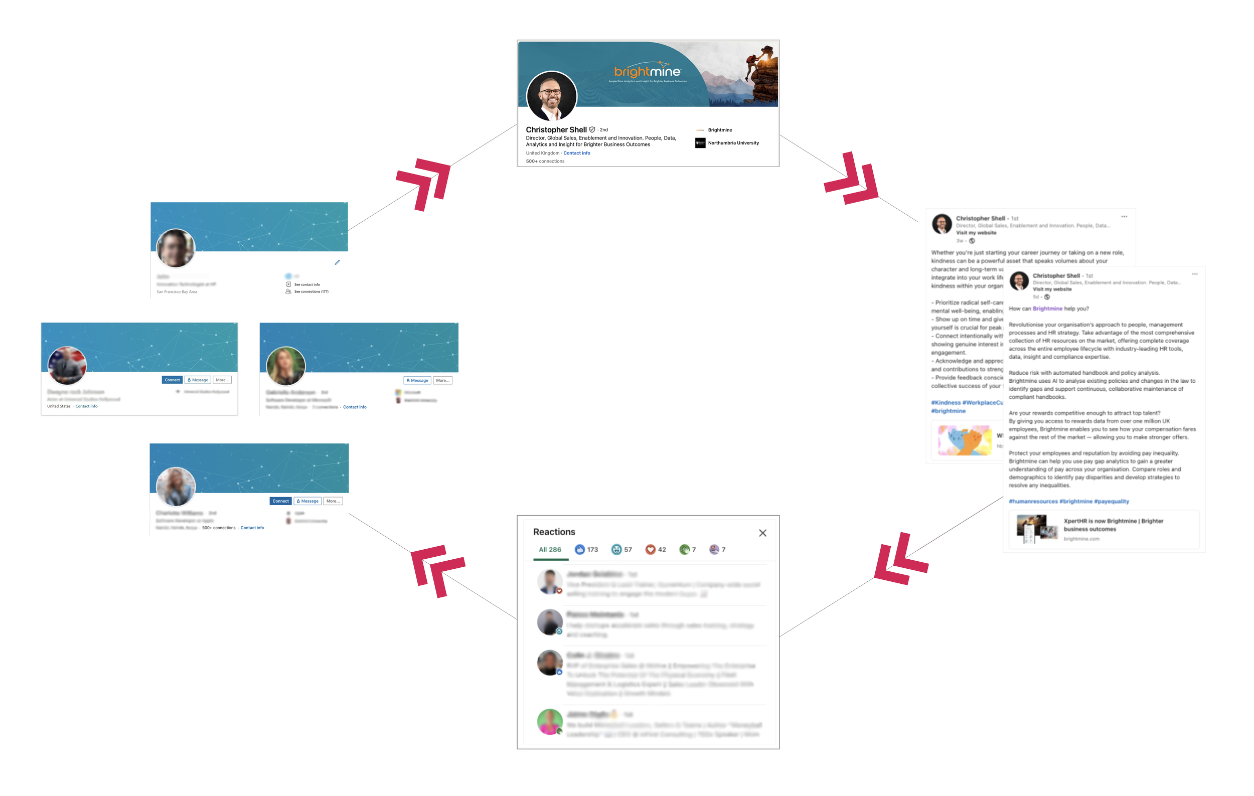 Brand Amplification — Numentum