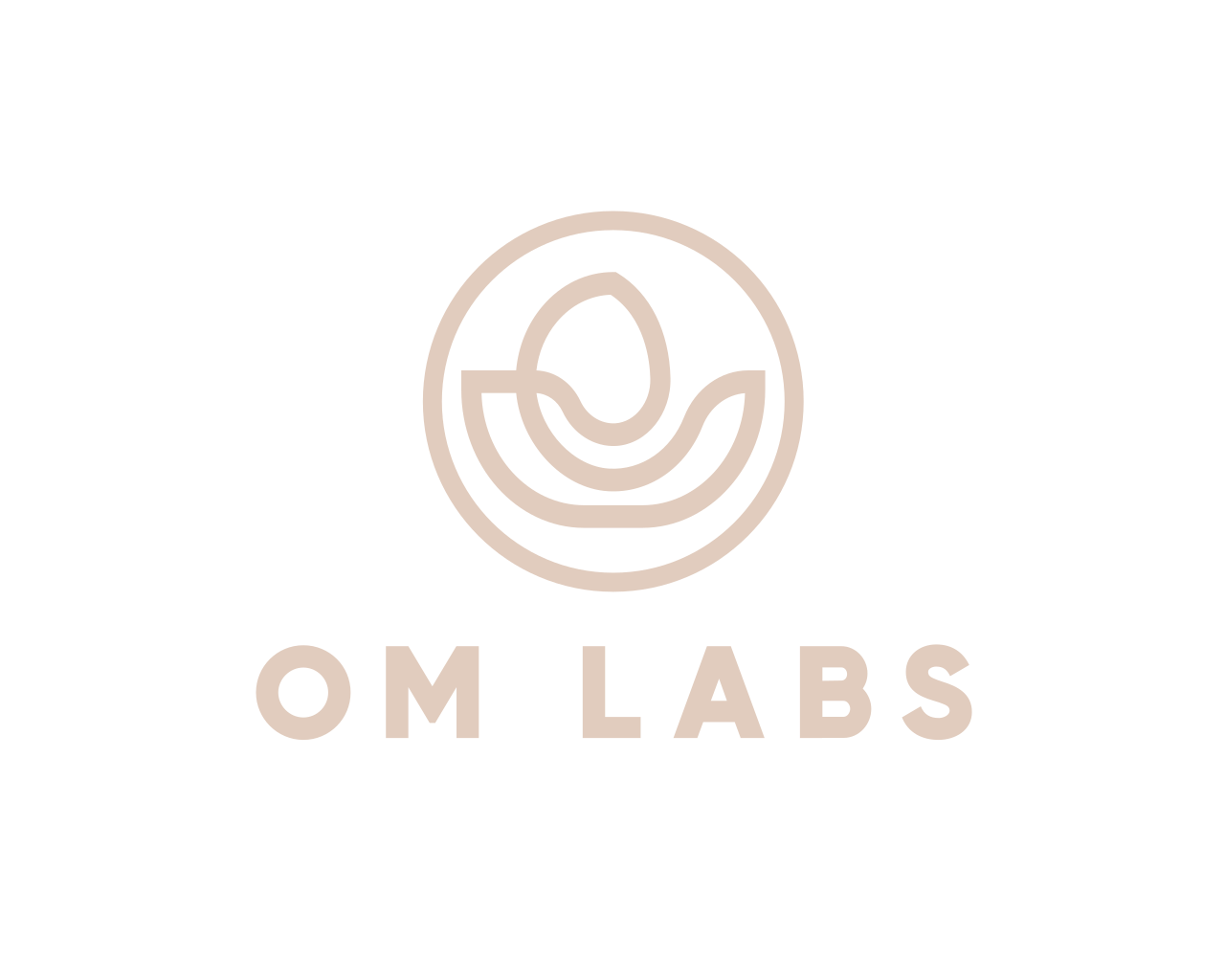 Wheel of Wellbeing | Life & Wellness Coaching Tool — Om Labs