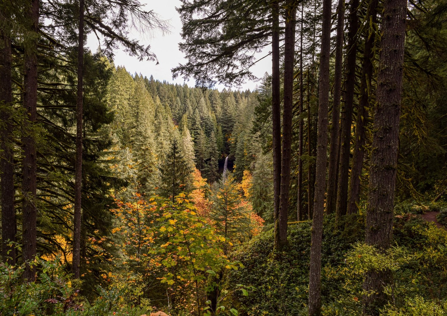 Oregon Disaster Funders Network