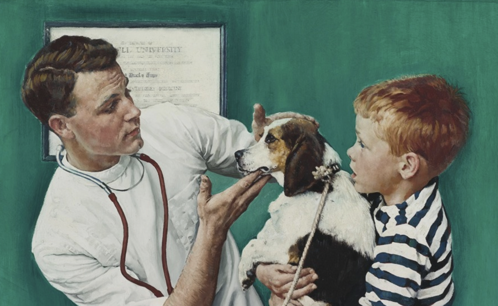 Top-Rated Veterinarian Hospital in NYC | Comprehensive Pet Care