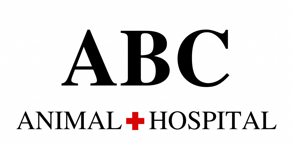 Expert Veterinary Services for Your Beloved Pets | Schedule an ...