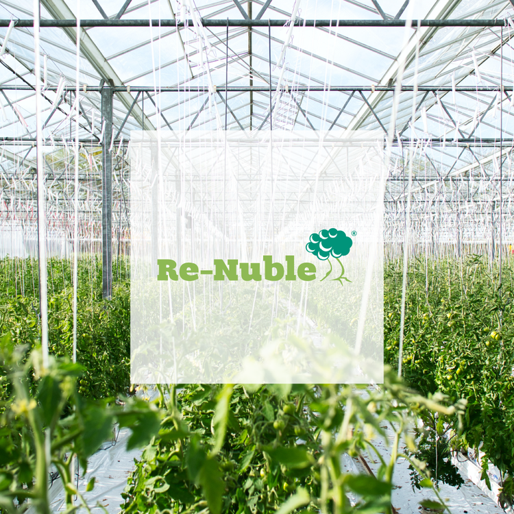 Climate Impact Fund I Portfolio — VertueLab