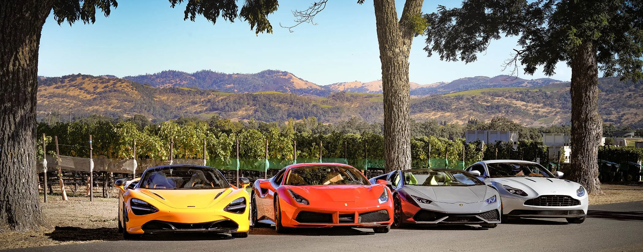 Exotic Car Group Experiences — Napa Valley Car Club