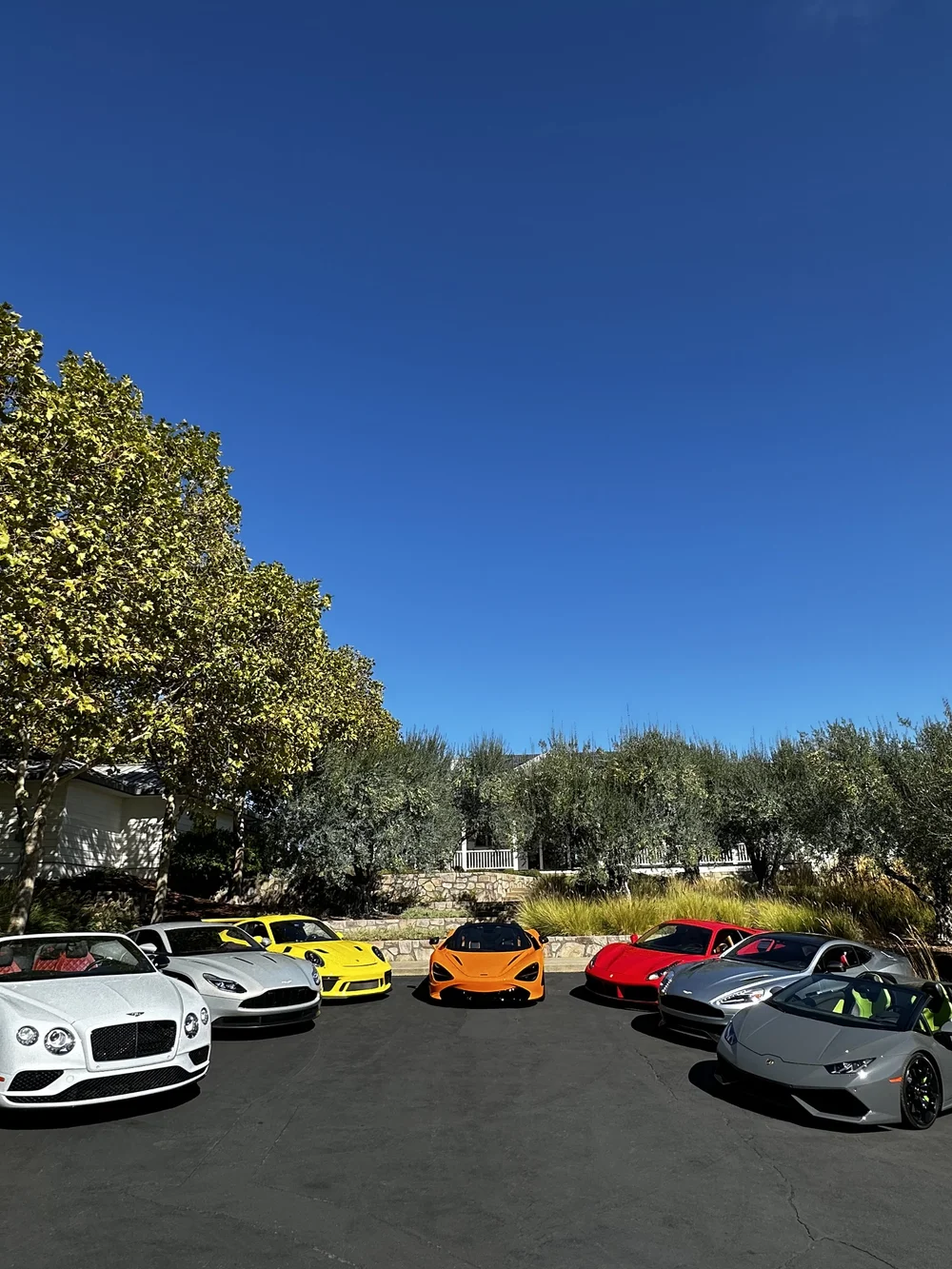 Napa Valley Car Club | High-Performance Car Rentals