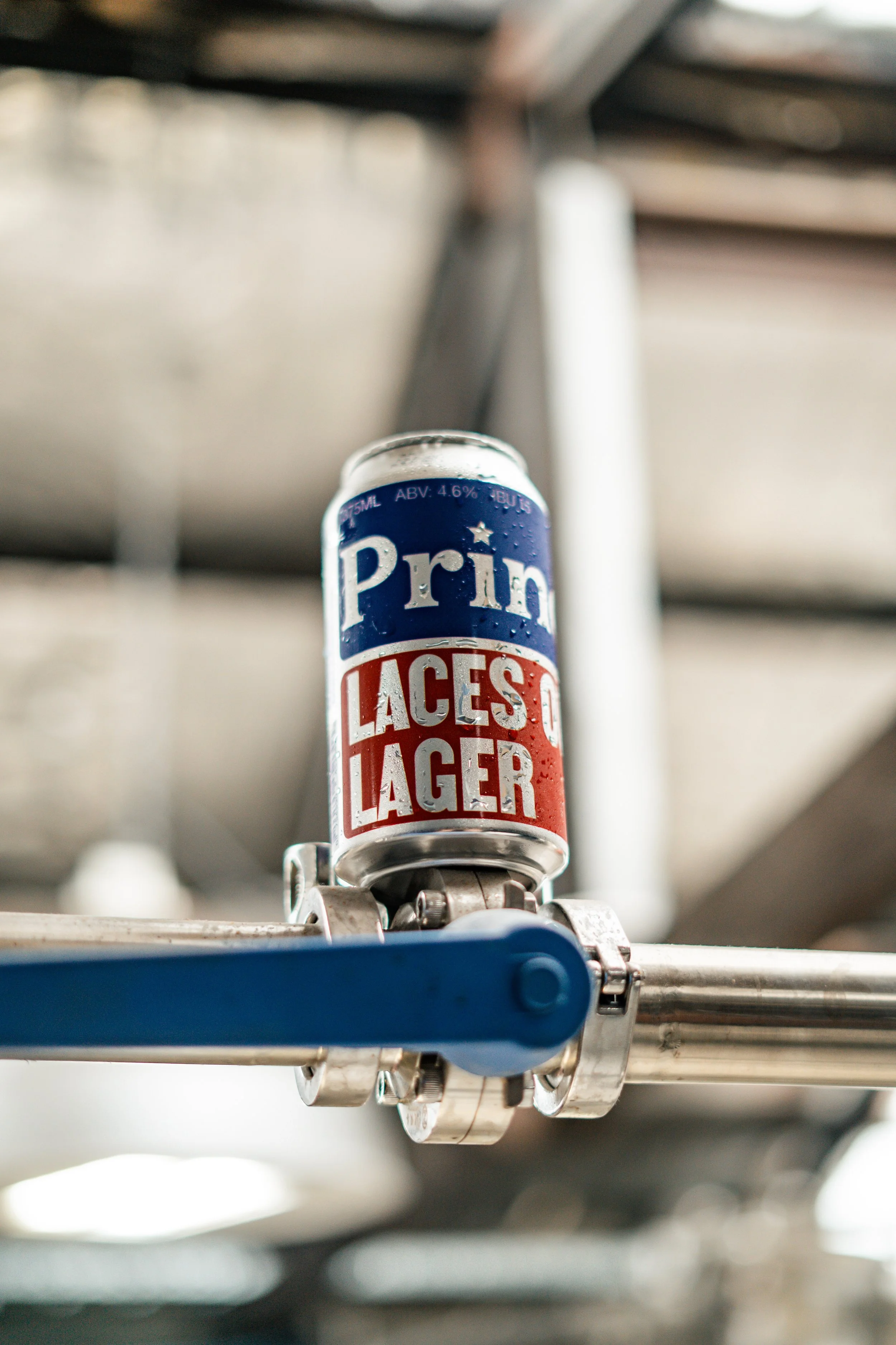 Principle Brewing | Home