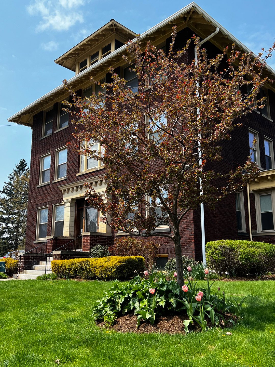 About White Pine Center for Healing | Eating Disorder Clinic