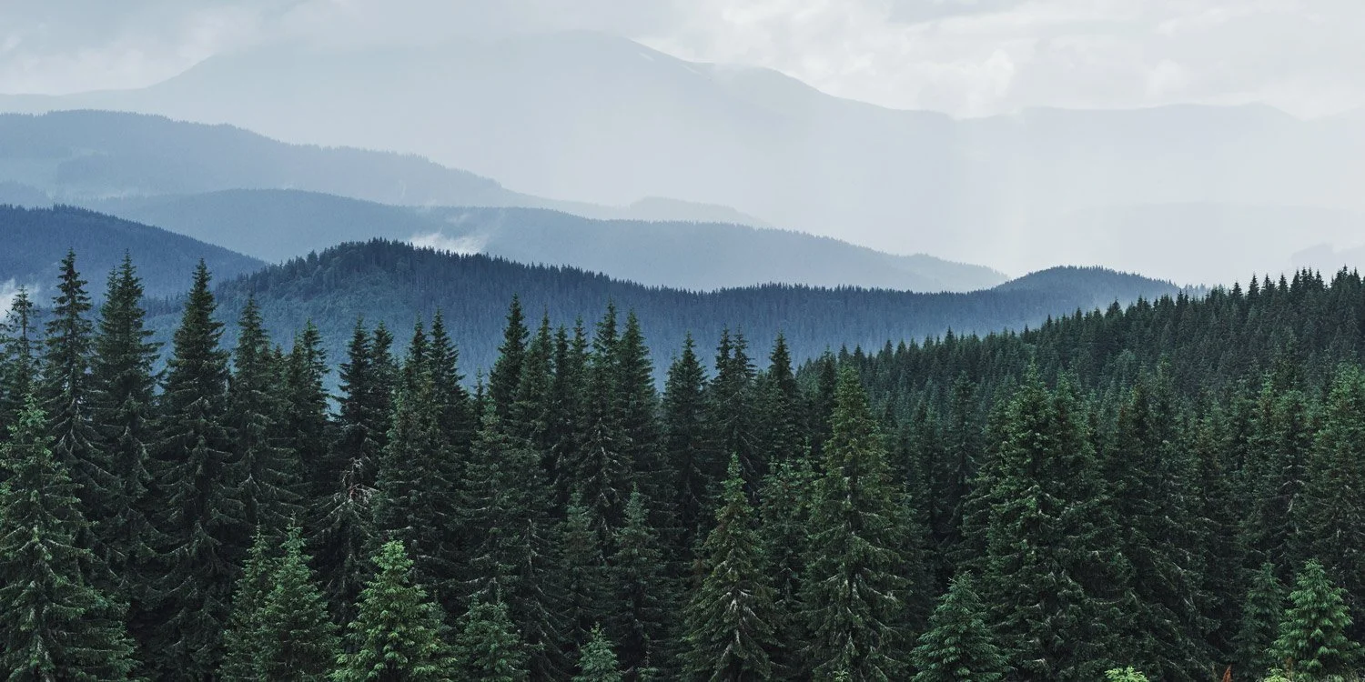 Events Schedule for White Pine Center for Healing