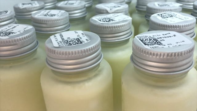 Fort Collins Lactation Resources