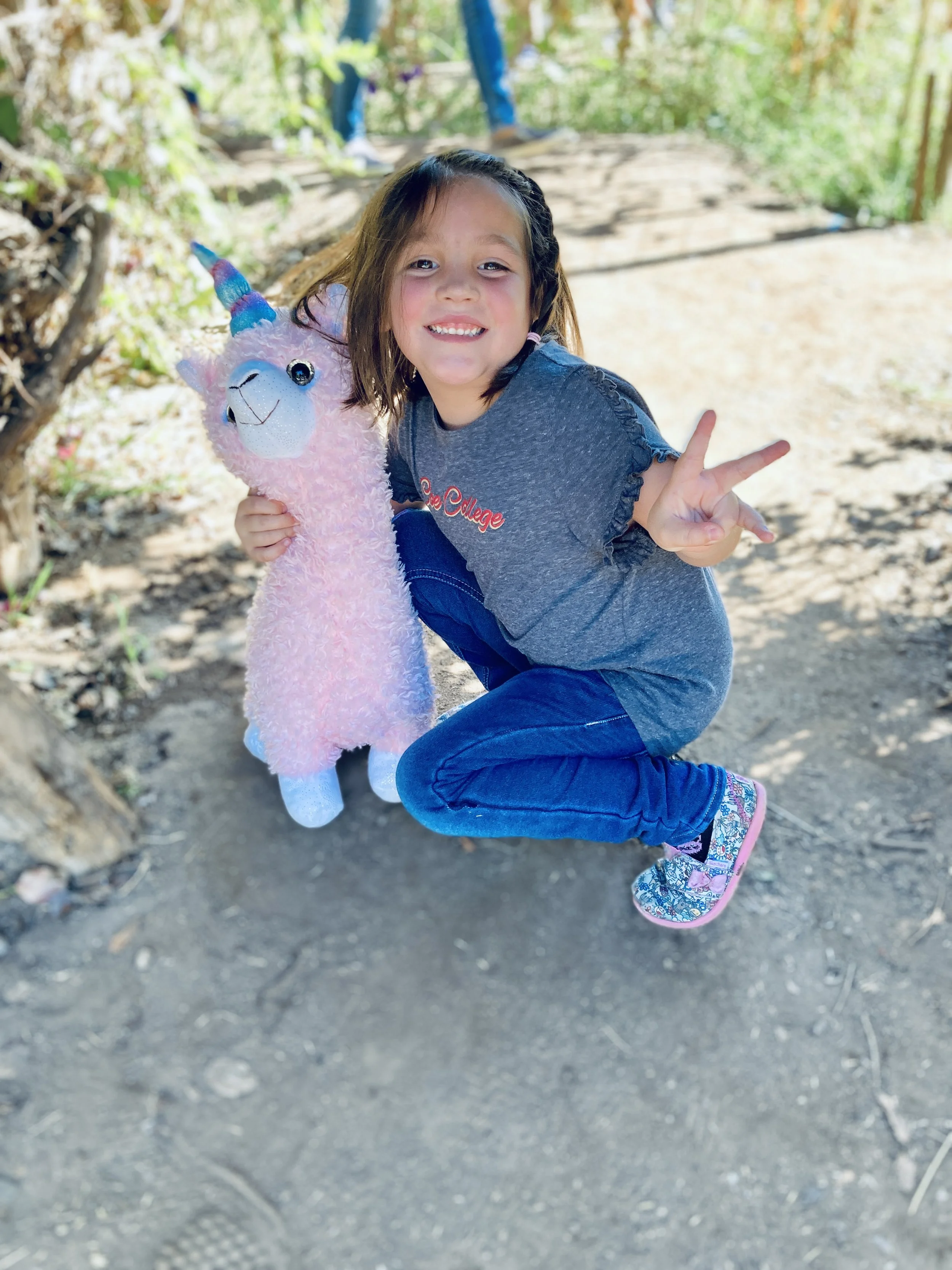 Blog 1 — junebug on cedros