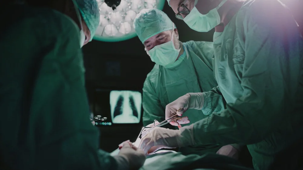 Our Strategy — Borna Health Fund