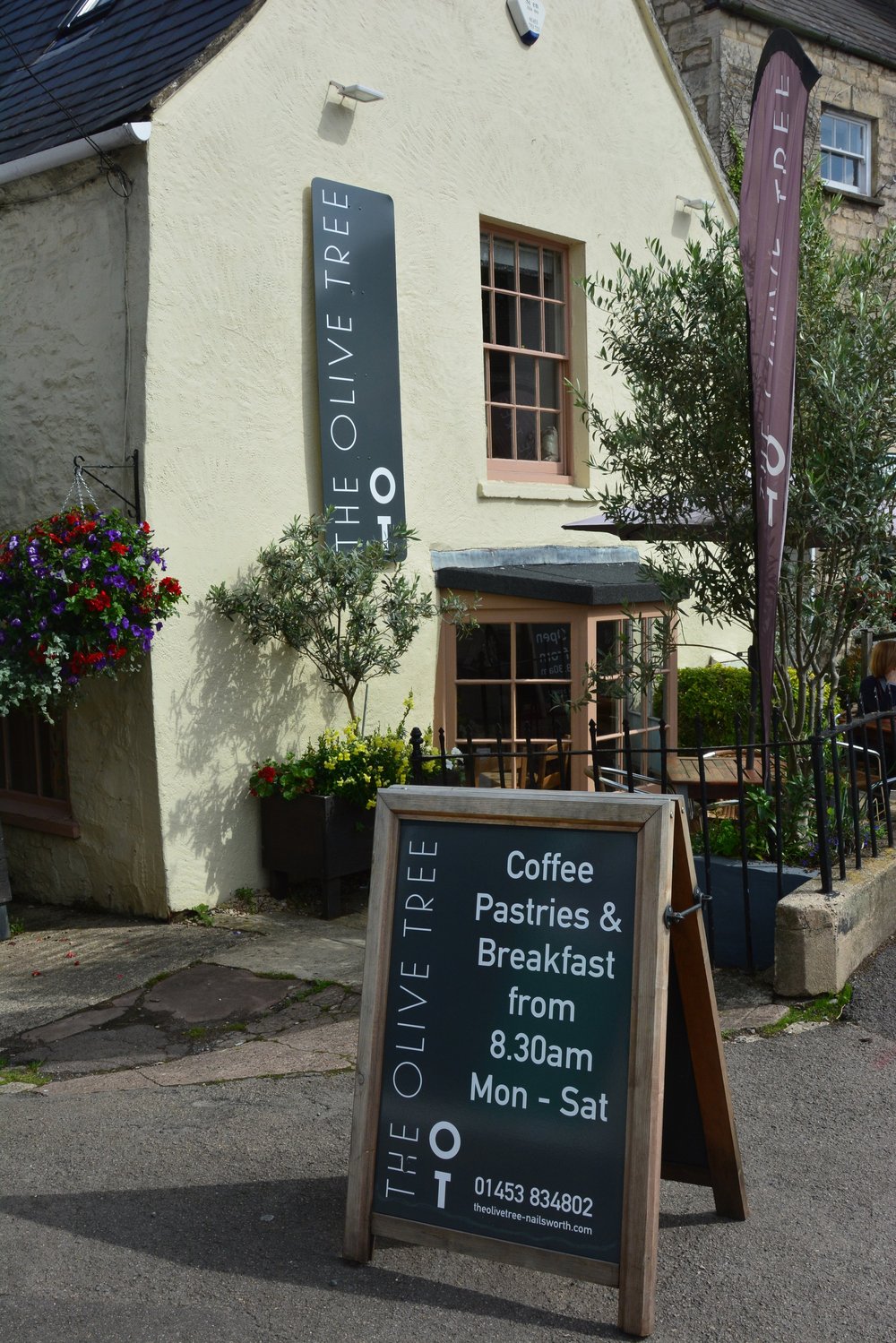 THE OLIVE TREE