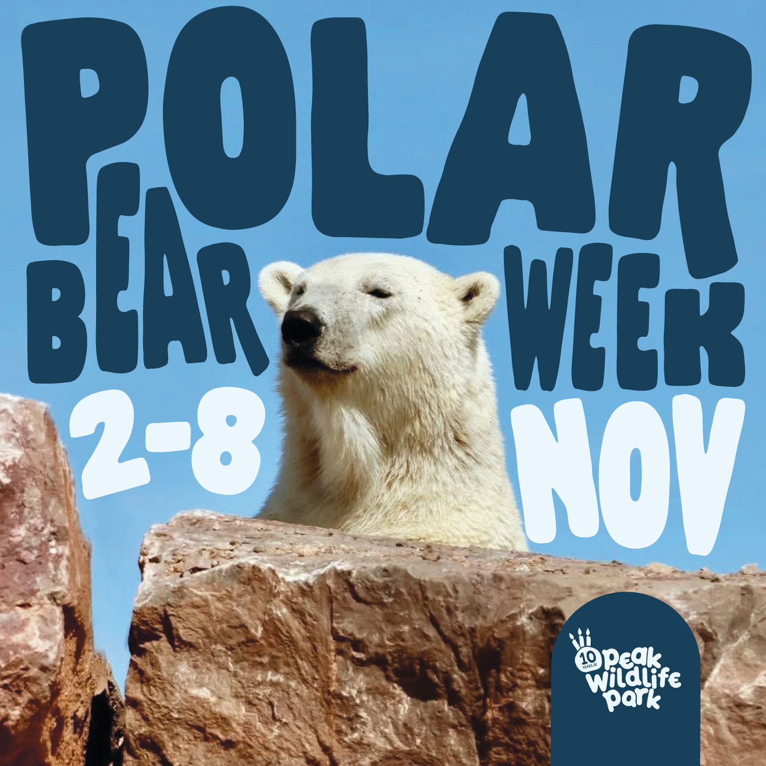 Polar Bear Week — Peak Wildlife Park