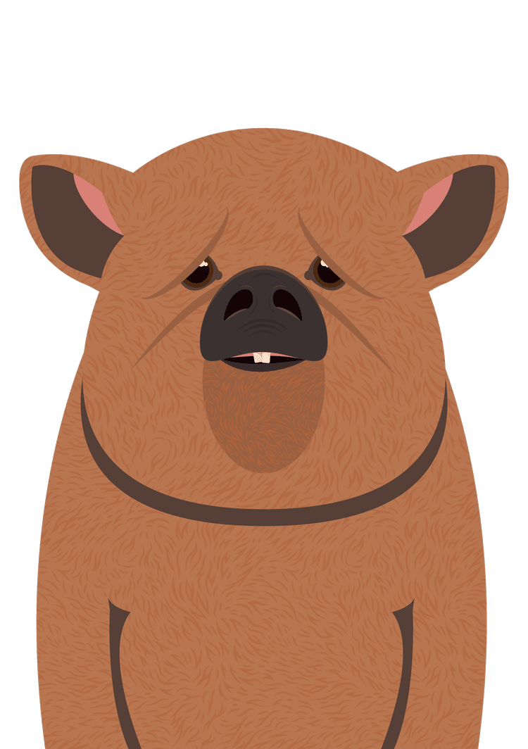 Animals — Peak Wildlife Park
