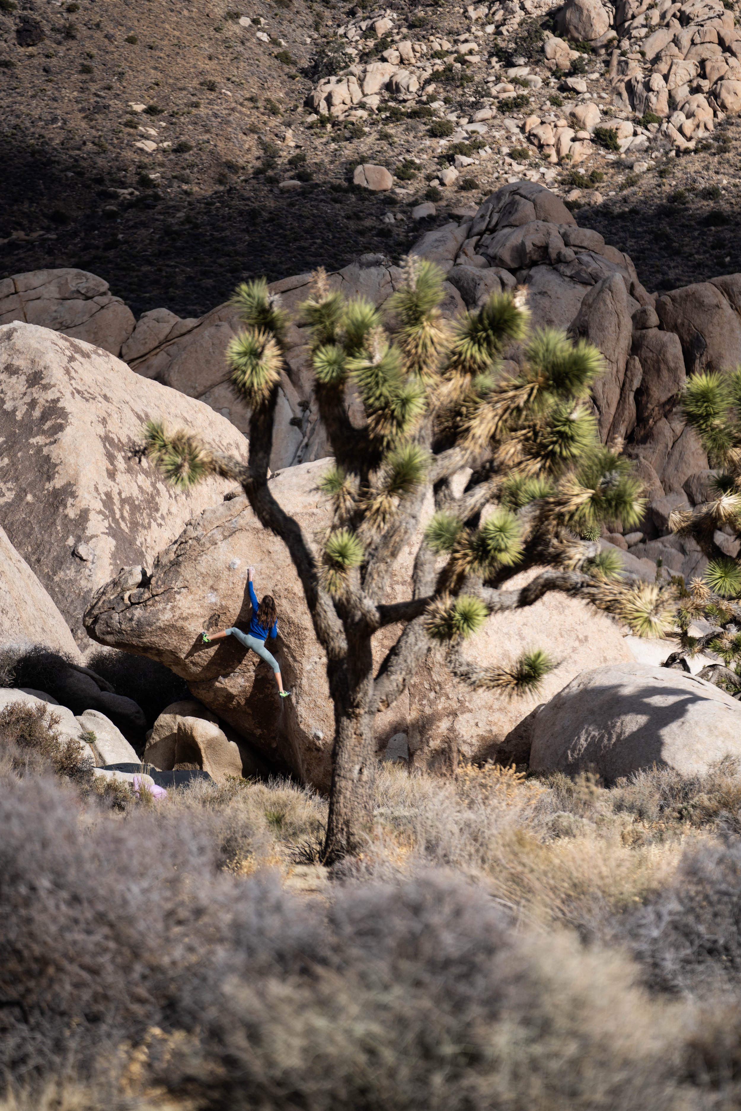 Remote Coaching — Climbing Sensei | Climbing - Coaching, Training by ...