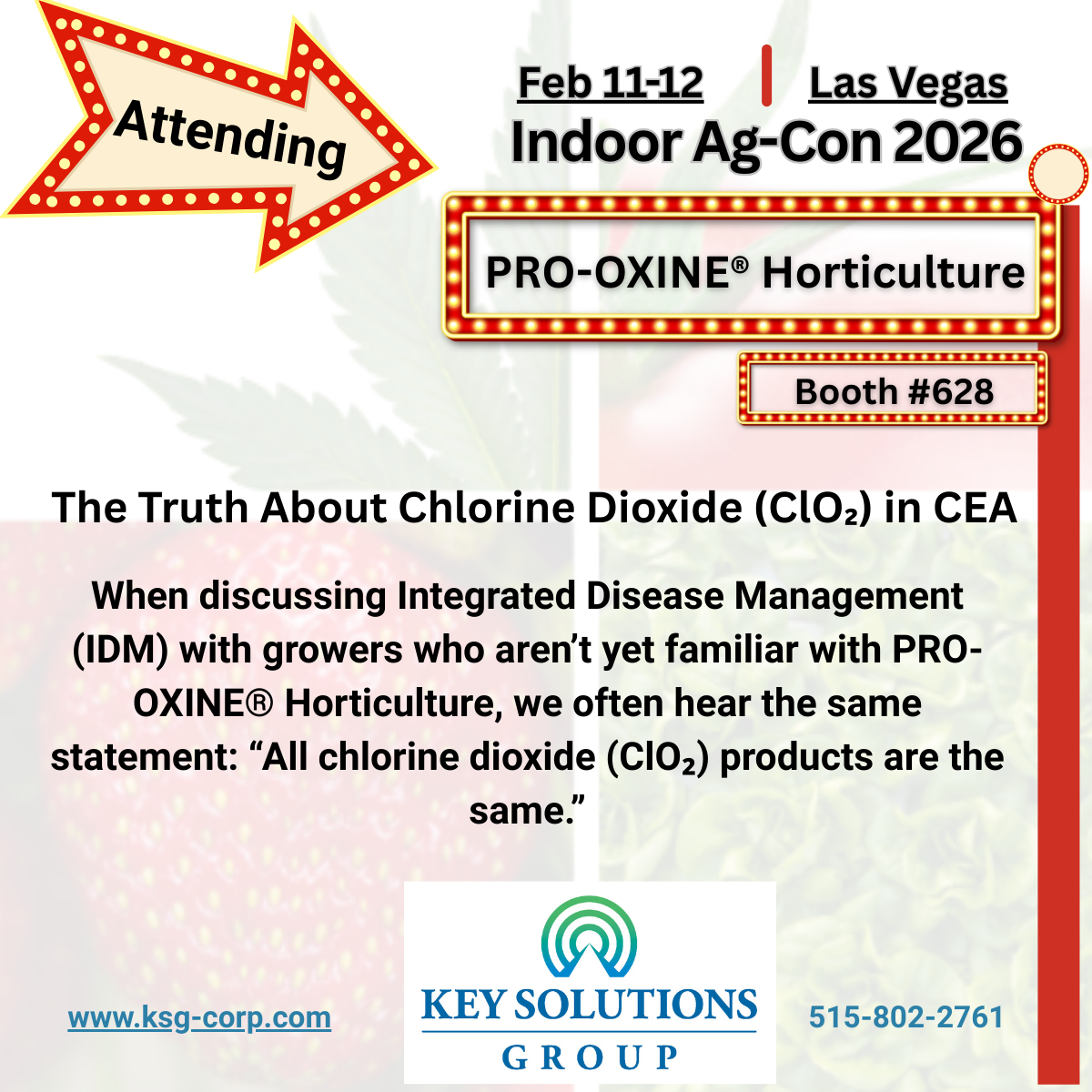 Here at Key Solutions Group, we often hear that “all chlorine dioxide ...