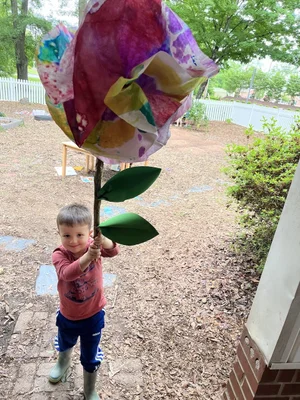 Color Fields Art Space