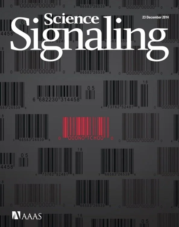 Selected Publications — Wood Lab | Duke University