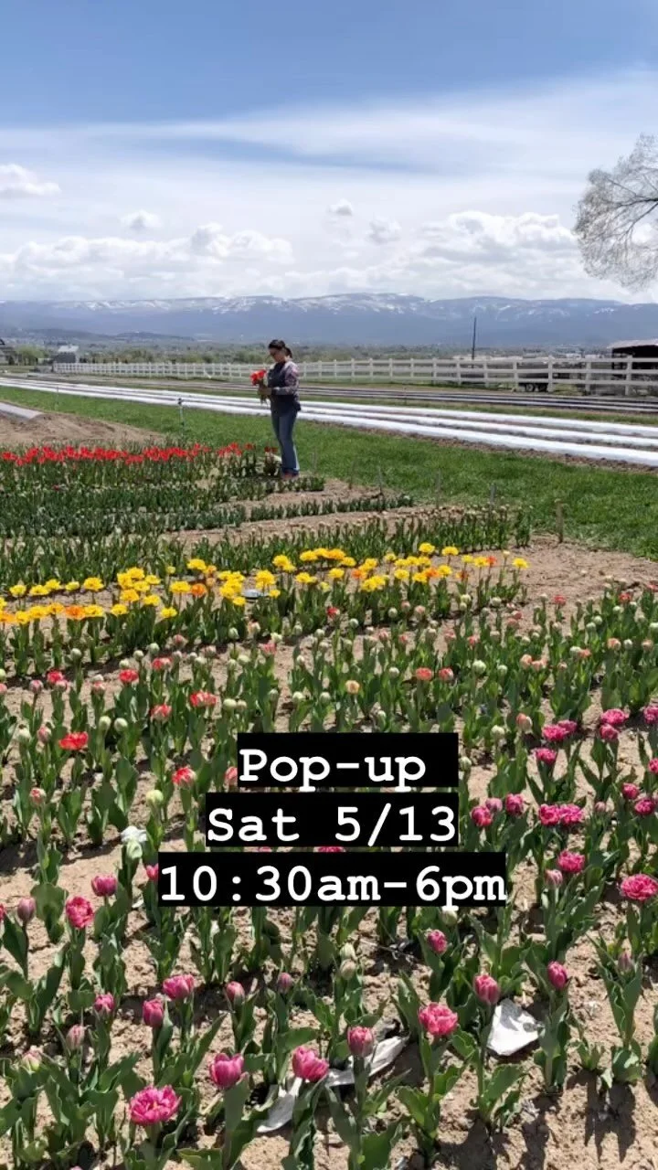 Francis Family Farms | Produce & Pumpkins | Fresh Cut Flowers | U-Pick ...