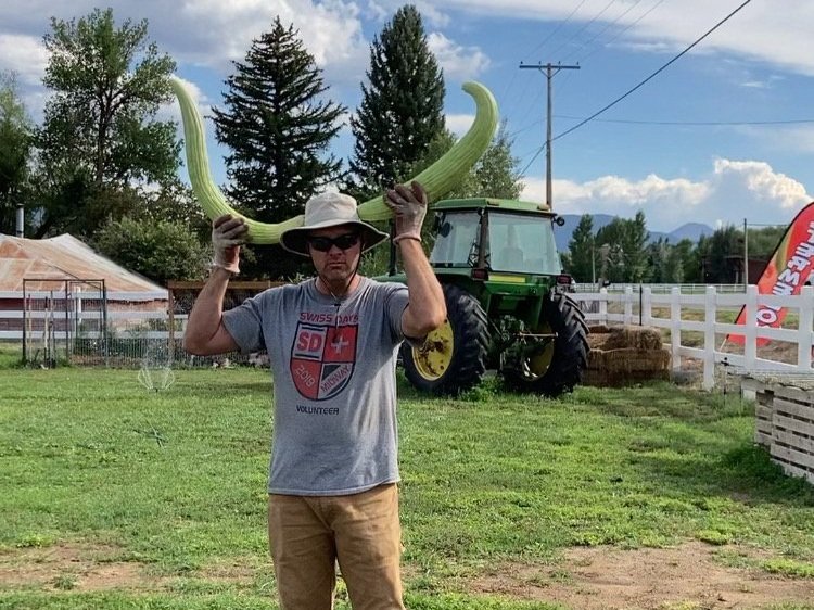 About | Family Owned & Operated | Midway, UT — Francis Family Farms