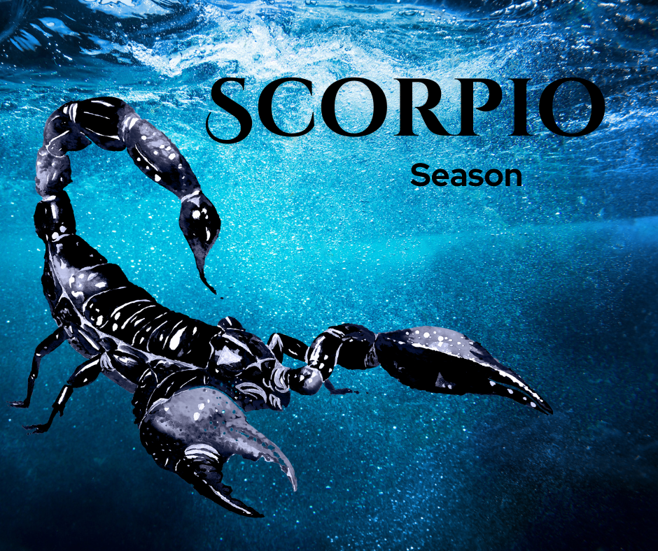 Scorpio Season 2024: Embrace Transformation and Shadow Work — Rheannon ...