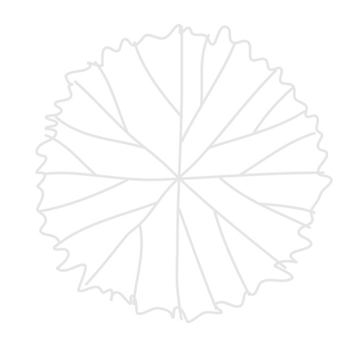 About — Laurus Designs, LLC