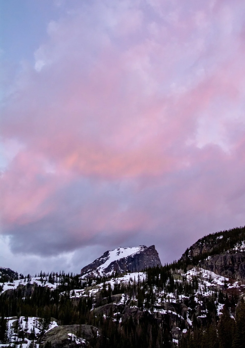 Justice for Dr. Morgan Medlock