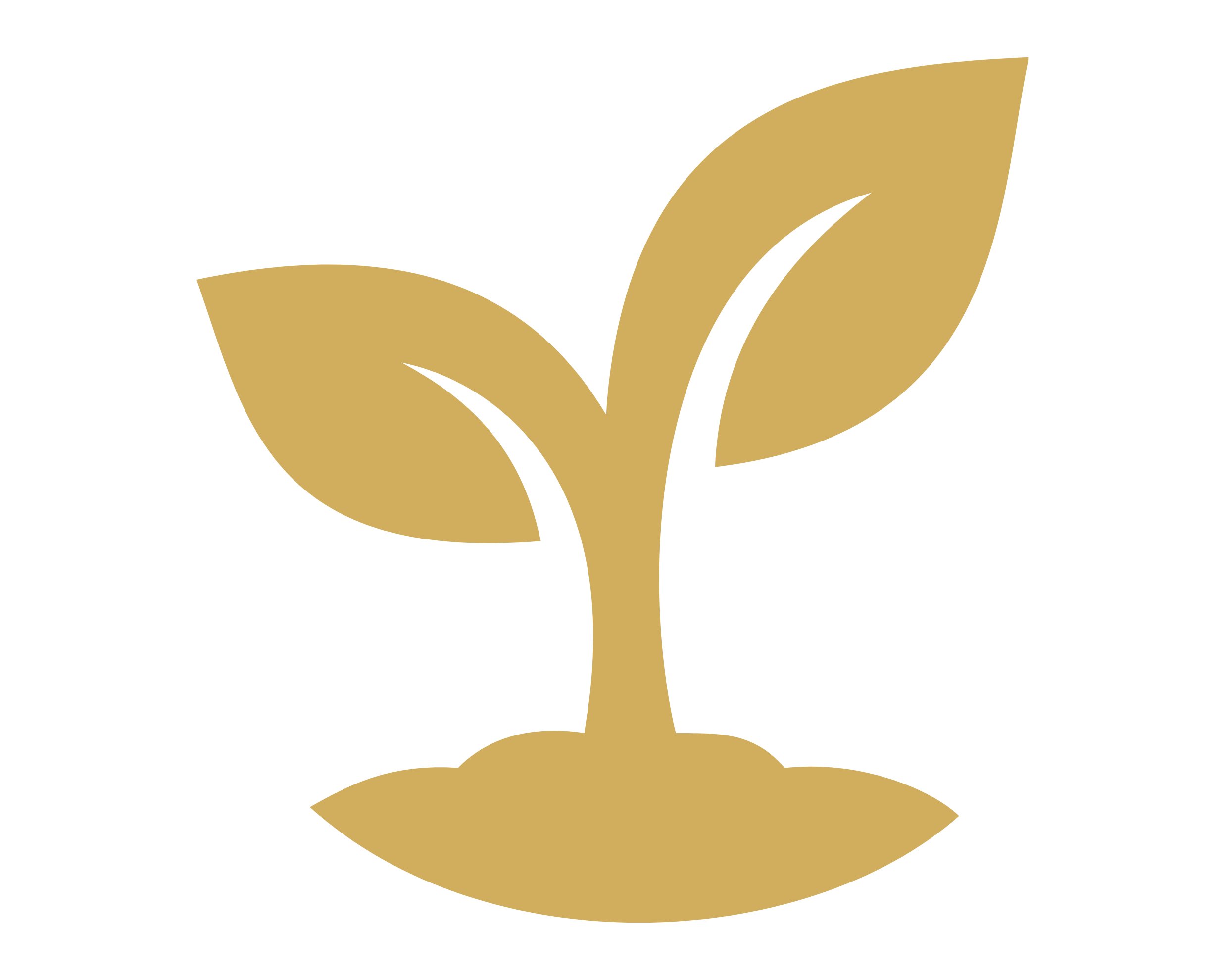 Support Staff — Kueny Law LLC