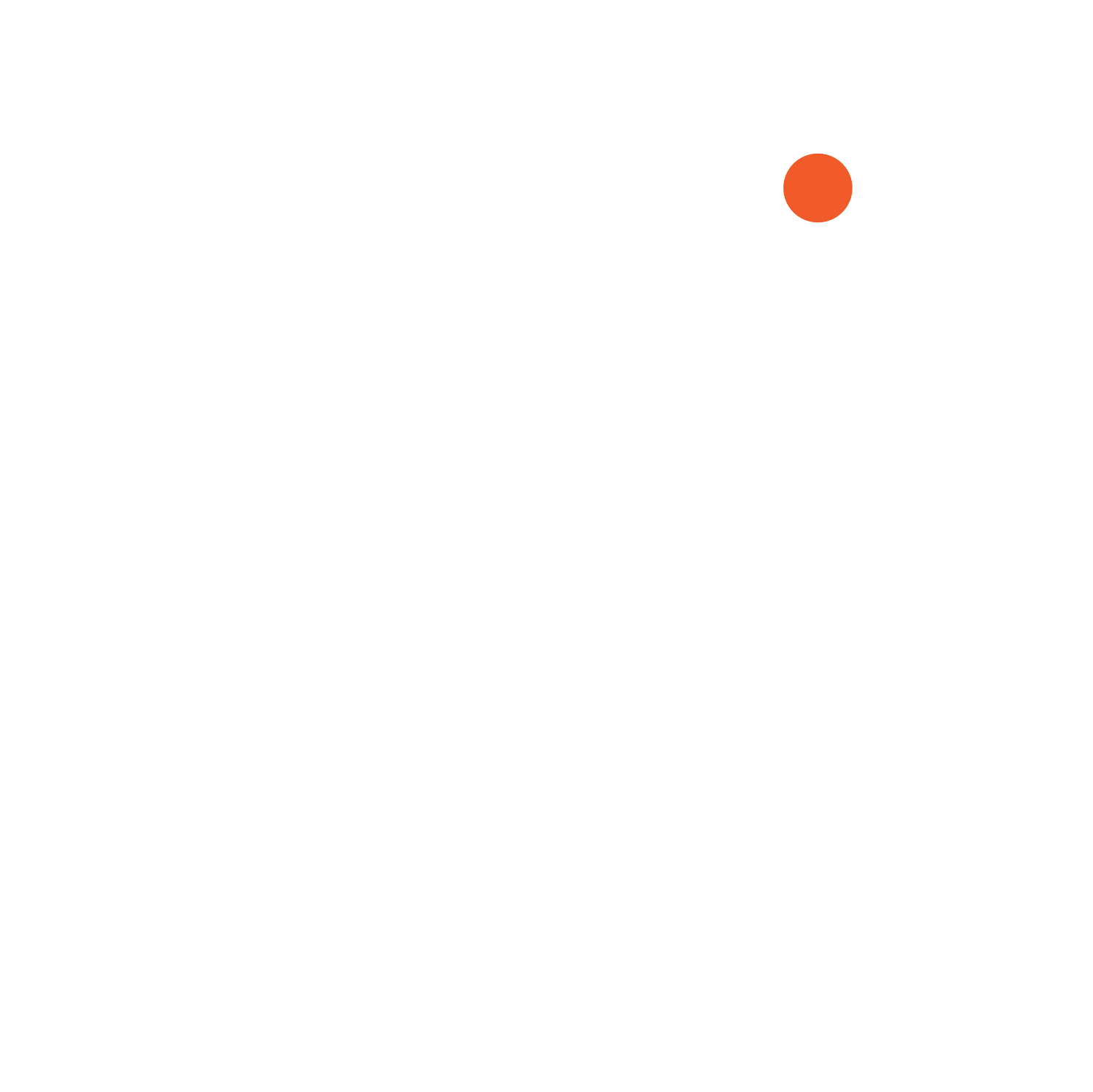 Chameleon Partnership