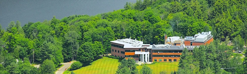Summer Undergraduate Program | Trudeau Institute