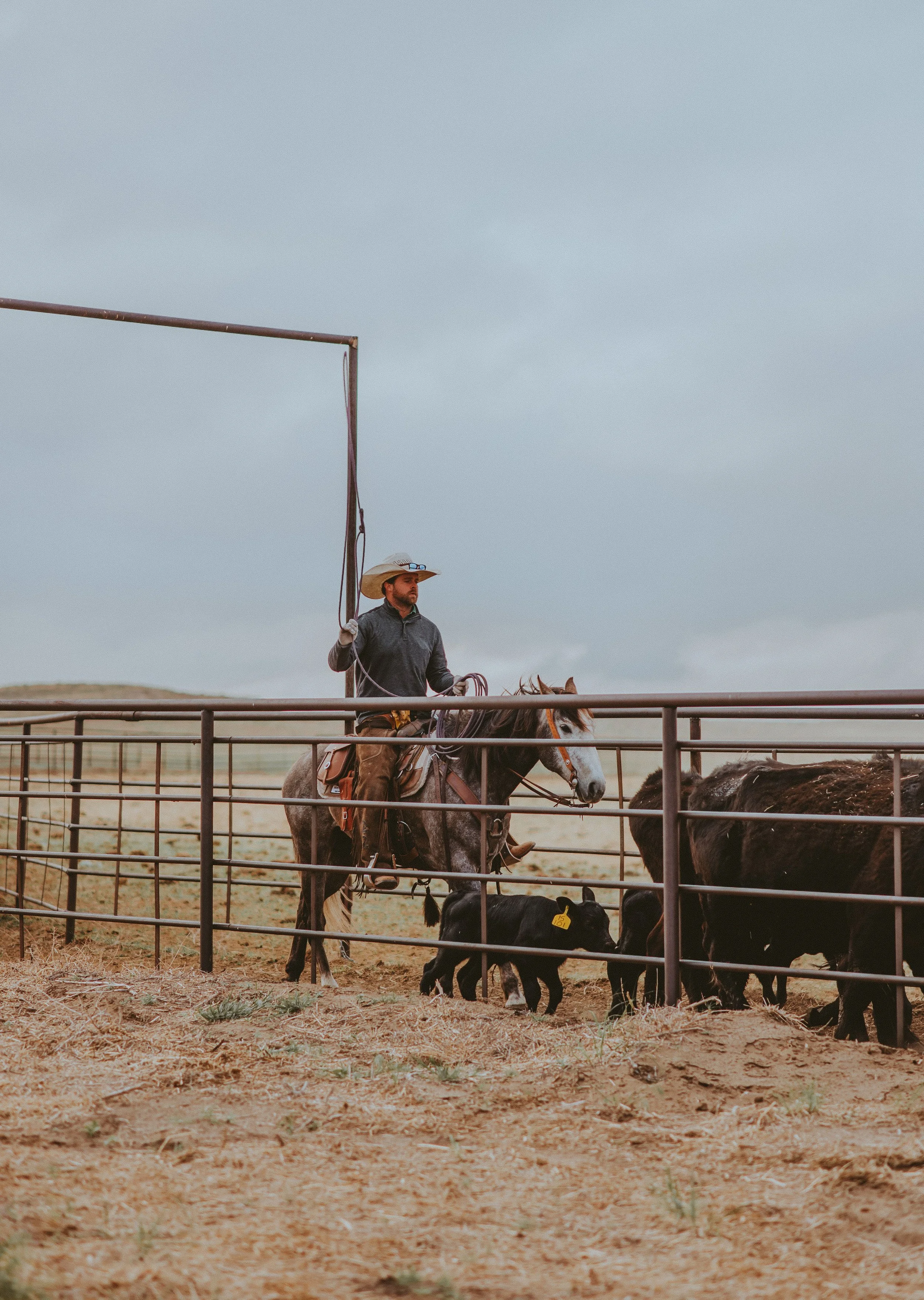 About | Multi-Generational Cattle Ranch | Deer Trail, CO — Stacked Two ...