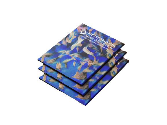 Portfolio — METACREATION