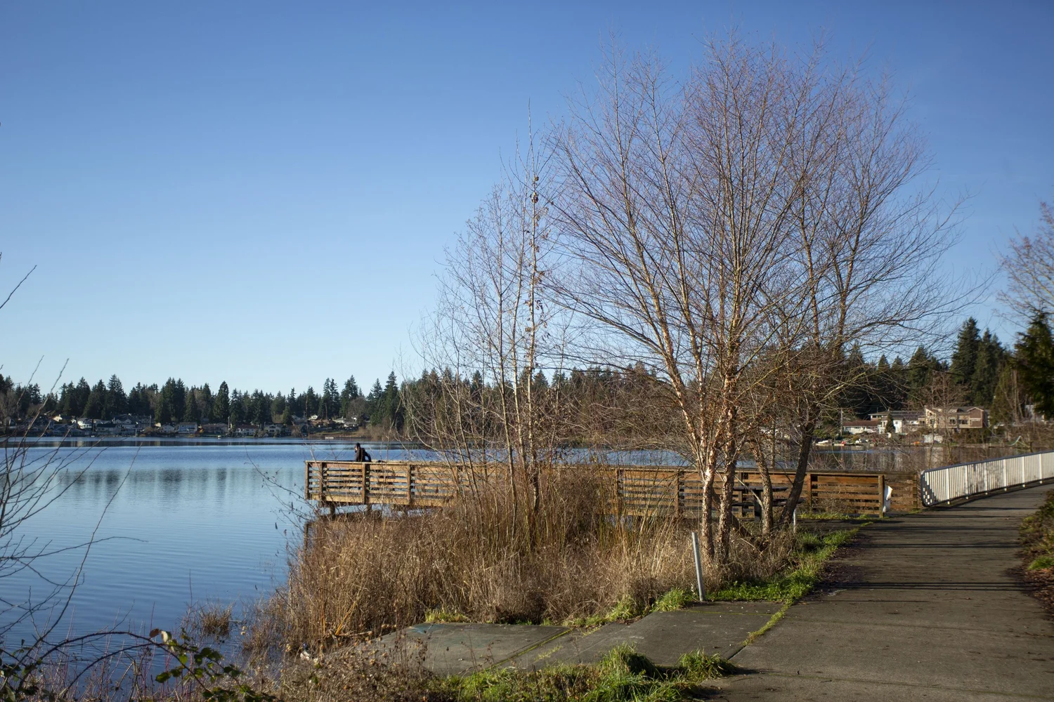 About the Lake — Silver Lake Neighborhood Group