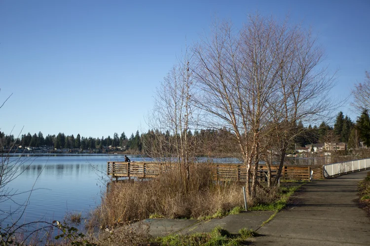 About the Lake — Silver Lake Neighborhood Group