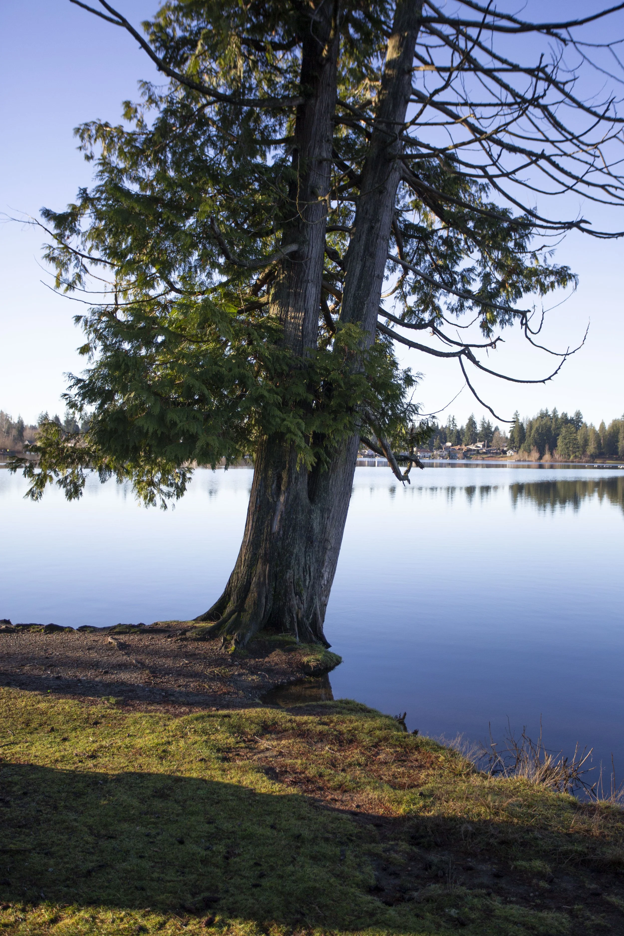 About the Lake — Silver Lake Neighborhood Group