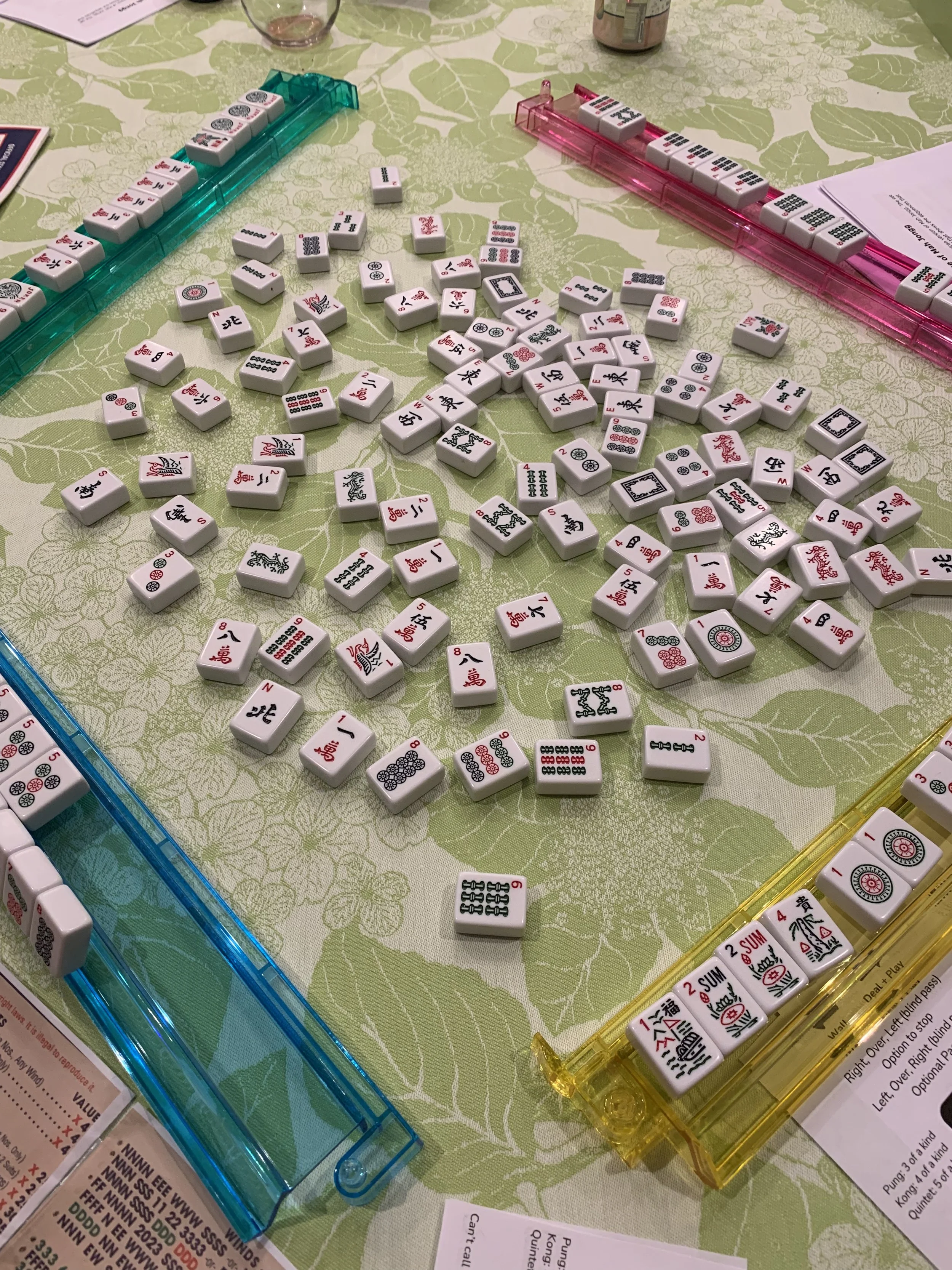 Learn Canasta with Emily and Bev