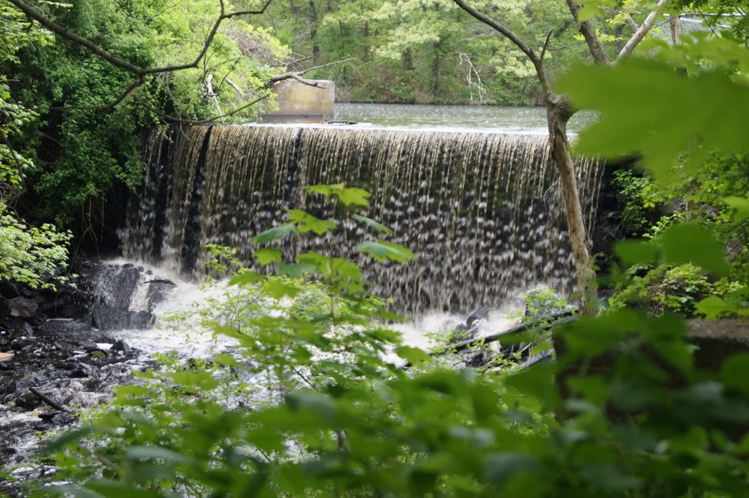 Seekonk Land Conservation Trust
