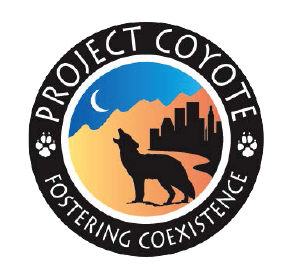 Big Picture Greetings