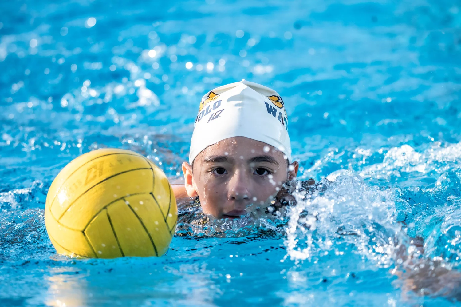 Splashball — SOCAL Water Polo