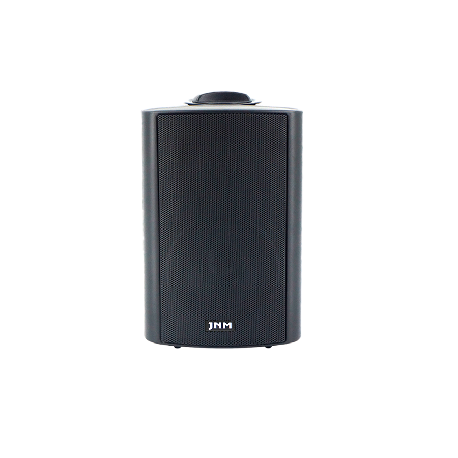 WSP 65 T - Wall speaker — JNM Audio