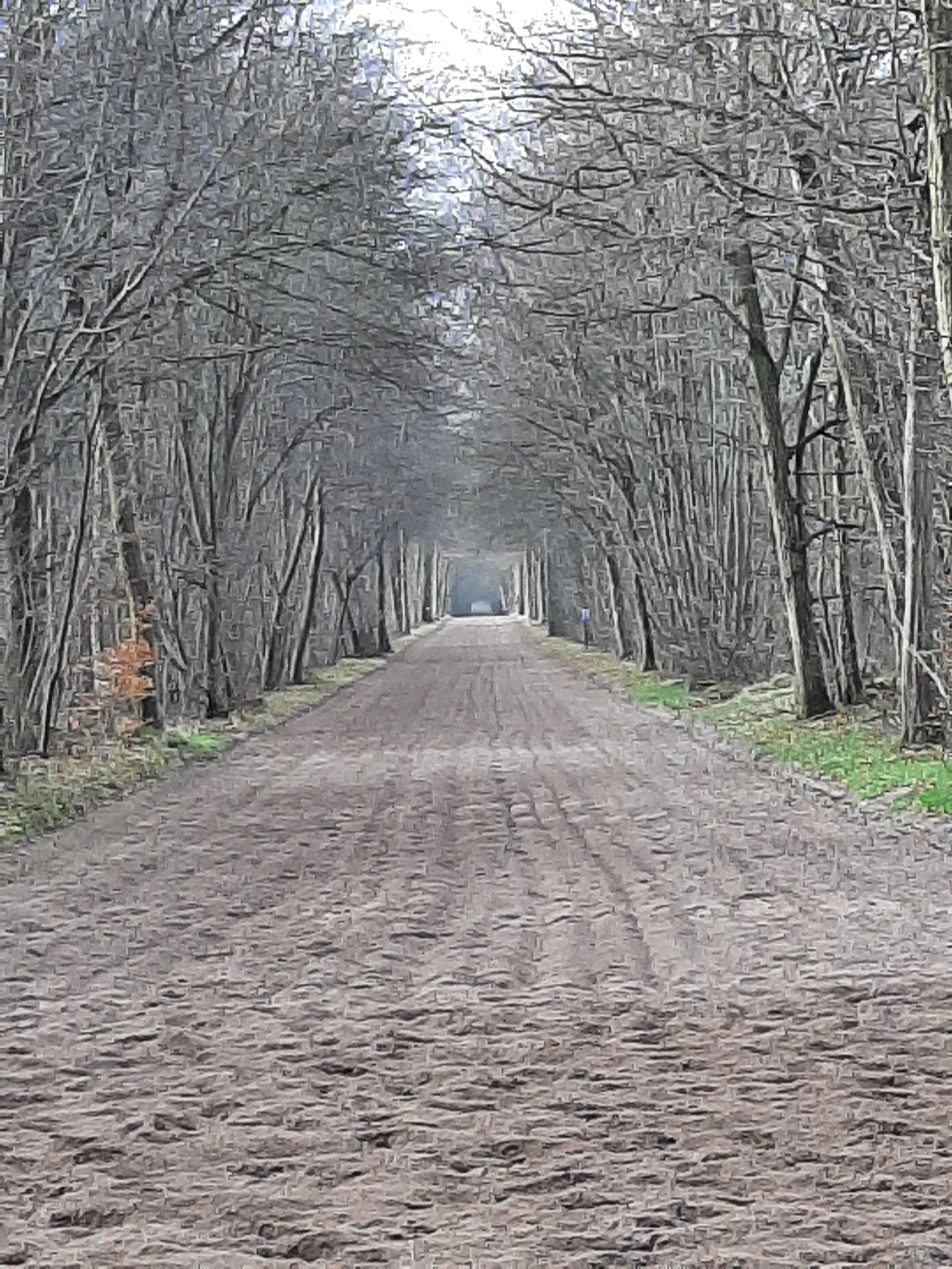 Experience — Provence Racing