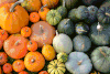 PUMPKINS — Slade Farm