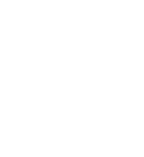 Race Info | Discover Race Details — DW Race