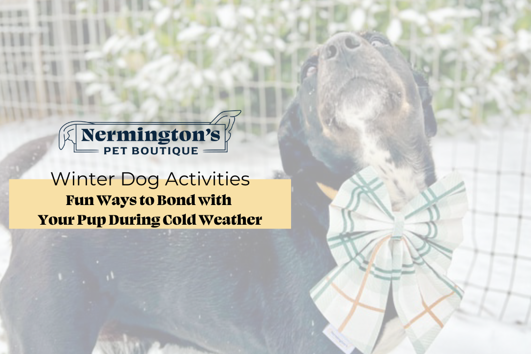 Fun Winter Dog Activities for Every Pet Lover — Nermington's