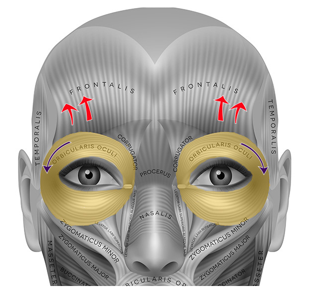 Botox® Brow Lift - Torrance, CA — Lumier Medical